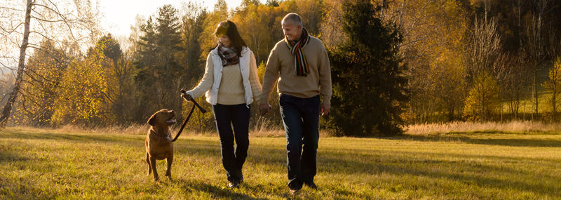 Roth Conversions: things-to-know - Fidelity Investments