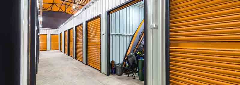 Insights from Fidelity's portfolio managers - Fidelity