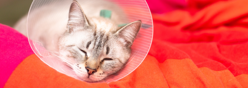 Fidelity Smart Money | Personal Finance News & Tips | Fidelity