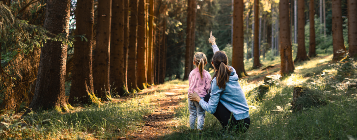 Term vs. whole life insurance: What's the difference? | Fidelity