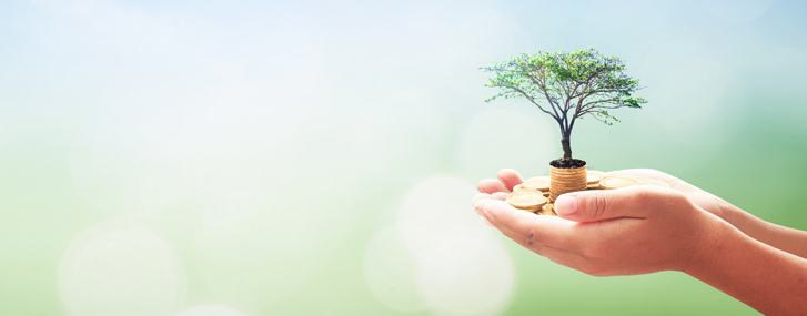 What is a charitable gift annuity and is one right for you? | Fidelity