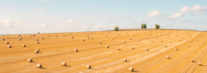 Commodities Banner
