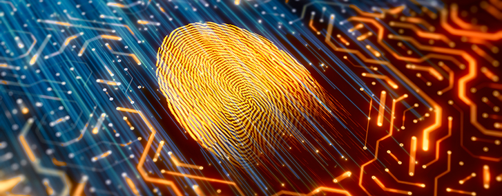 Is bitcoin safe? | How to safely buy and store cryptocurrencies